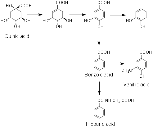TradMPD Quinic acid Metabolism information on chemical compounds