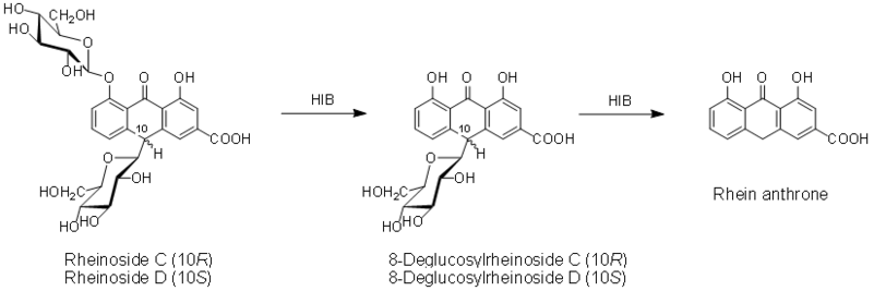 TradMPD Rheinoside C, D Metabolism information on chemical compounds